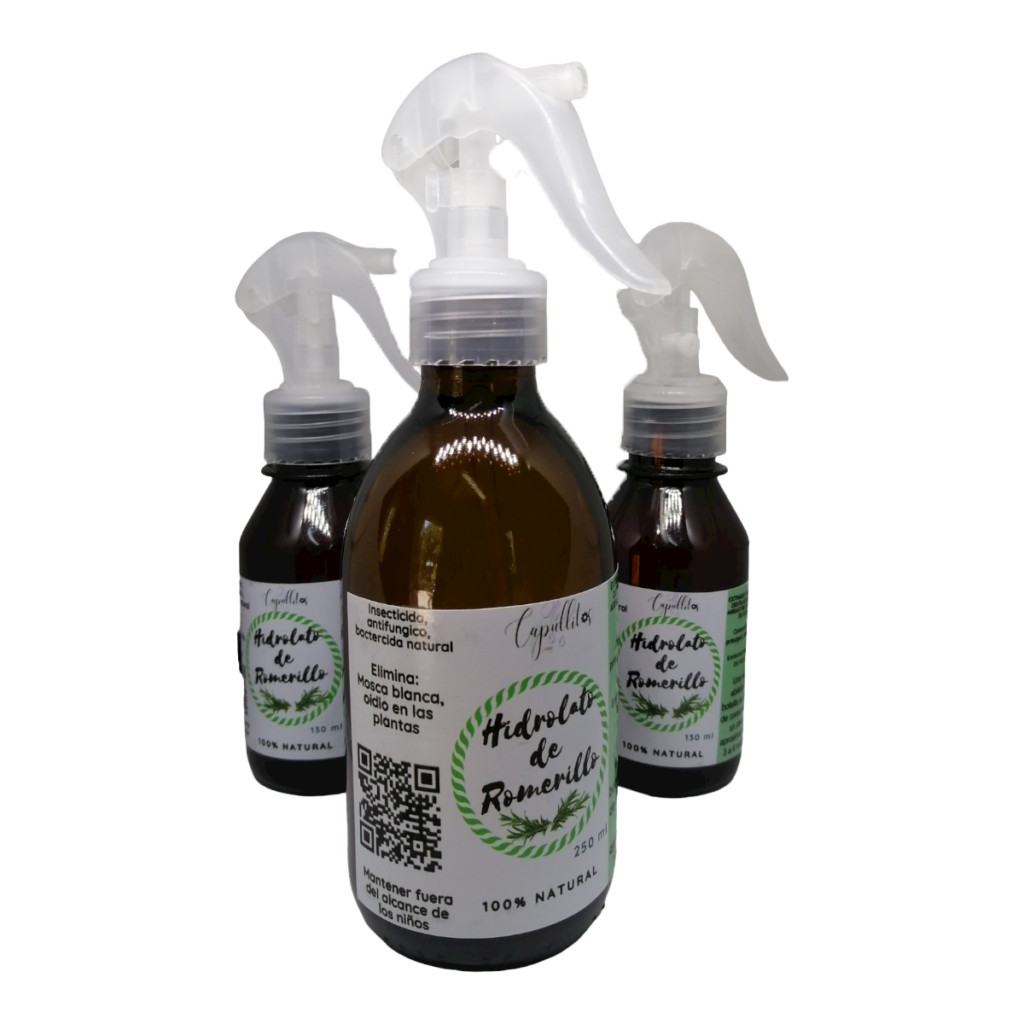 Insecticida de Romerillo | UMSS